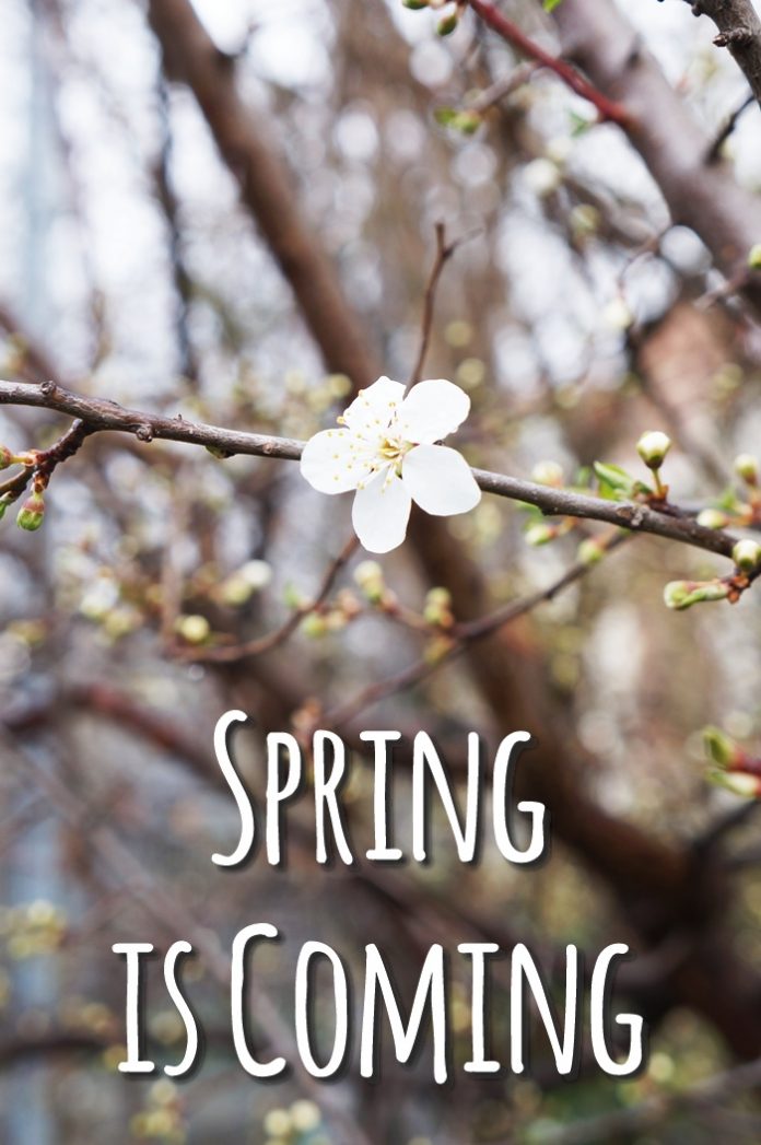 Spring is Coming! - Citrus Glitter